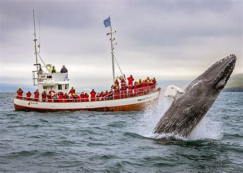 Group Tours And Icelandic Holidays Arctic Adventures