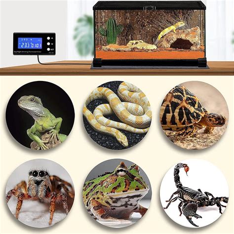 Xiehuza Digital Dimming Thermostat Day And Night Timer Reptile Temperature Controller Buy Now