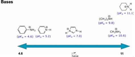 PKa Basicity Flashcards Quizlet
