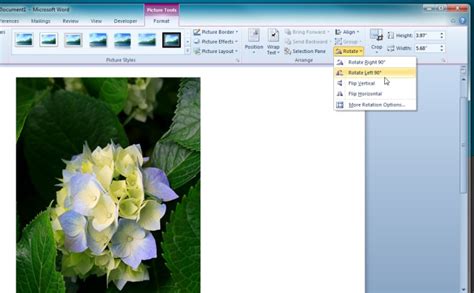 Word Rotate Images By Degrees Word Rotate Images By Degrees