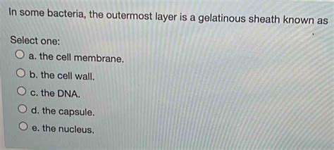 Solved In Some Bacteria The Outermost Layer Is A Gelatinous Sheath Known As Select One A The