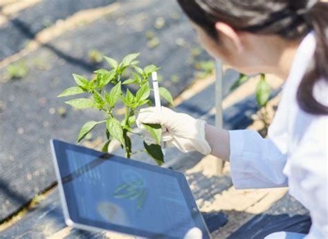 온엣 웹 백엔드 개발자 채용 공고 원티드