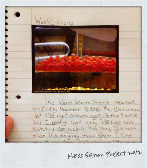 Science Journal Rubric Ambitious Science Teaching