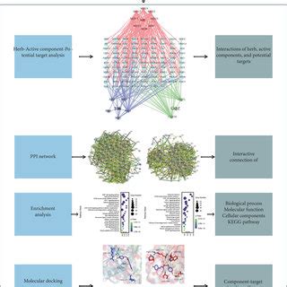 Diagrammatic Illustration Of The Workflow Of The Study Download Scientific Diagram