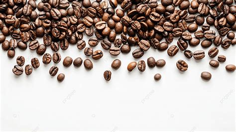 흰색 배경 공간 현대적인 스타일에 볶은 커피 콩 아라비아 말 농업 방향 배경 일러스트 및 사진 무료 다운로드 Pngtree