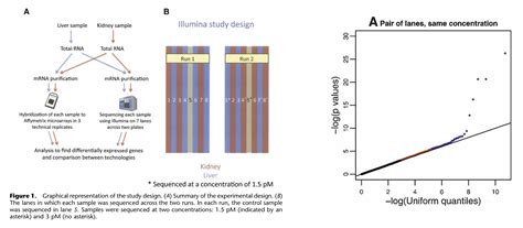 Introduction To Sequencing Working With Rna Seq Count Data