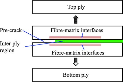 Schematic Illustration Of The Inter Ply Region And Adjacent