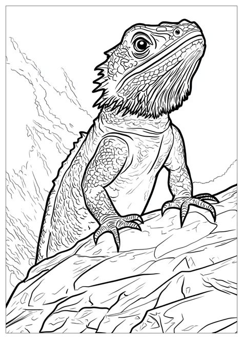 Bearded Dragon Coloring Pages Fun And Educational Art For All Ages