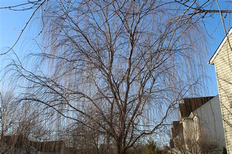 Assignment1part2 Flickr