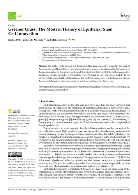 Pdf Greener Grass The Modern History Of Epithelial Stem Cell Innovation