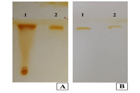 Isolation Characterization Of Neoandrographolide From Andrographis Macrobotrys Nees And