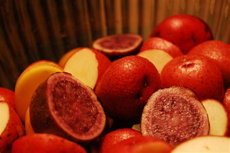 Emirhan Erbil Emirhan Erbil Ugqfe Roboflow Universe