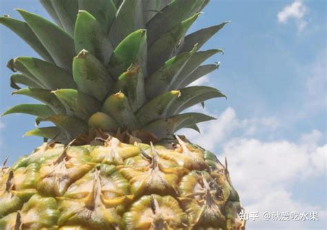 大陆禁台湾水果，影响到底有多大？ 知乎