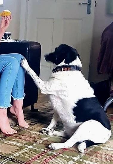 Solve Penny Jigsaw Puzzle Online With Pieces