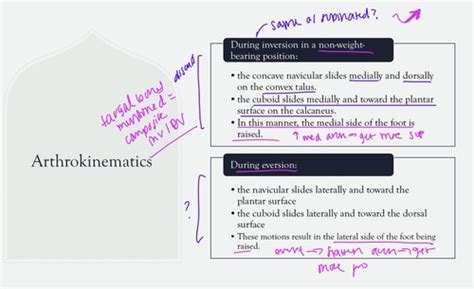Anatomy Review Flashcards Quizlet