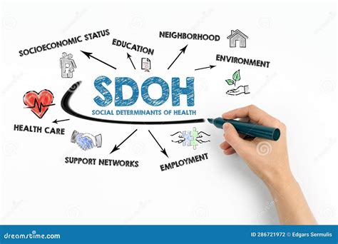 Sdoh Social Determinants Of Health Concept Chart With Keywords And