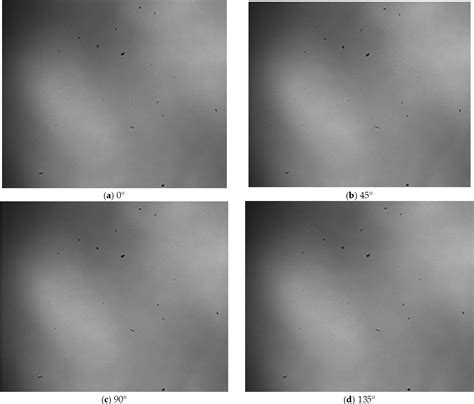 Figure 2 From Detection Method Of Fungal Spores Based On Fingerprint