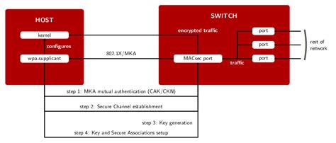 Redhatdev Blog Zh Docs Whats New In Macsec Setting Up Macsec Using Wpa