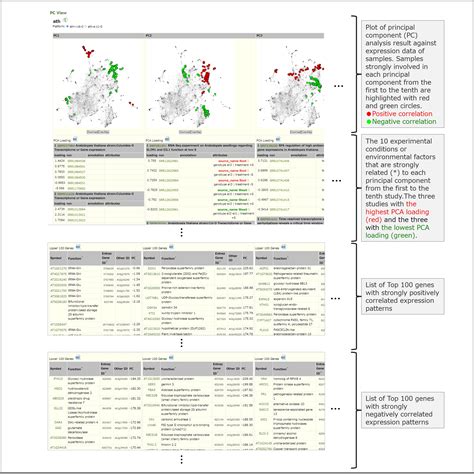 New Analysis Tools To Support Analysis And Review Have Been Implemented