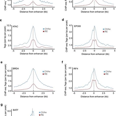 Chromatin And Transcription Factors In Cha And Regular Enhancers Tag