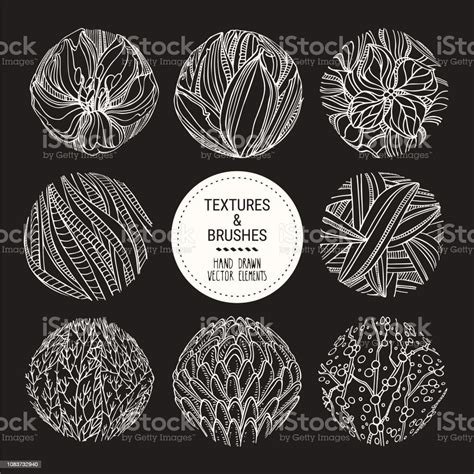 식물 손으로 그려진된 텍스처 브러쉬 스트로크 예술 디자인 서식 파일 컬렉션입니다 추상적인 벡터 클립 아트 세트 검은 배경에 고립