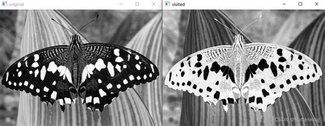 Opencv Python学习（5）—— Opencv 图像像素的读写操作 腾讯云开发者社区 腾讯云