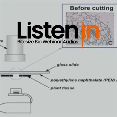 Listen In Bitesize Bio Webinar Audios Laser Microdissection Dissection Perfection
