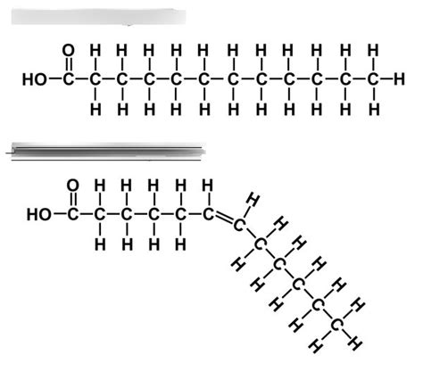 Lipids Monomer Structure