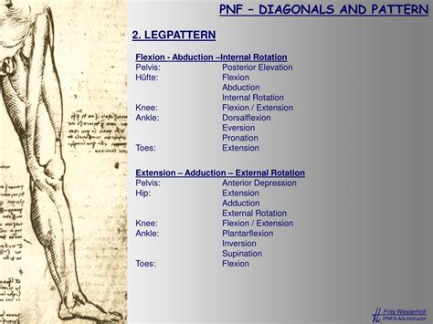 Ppt Pnf Diagonals And Pattern Powerpoint Presentation Free