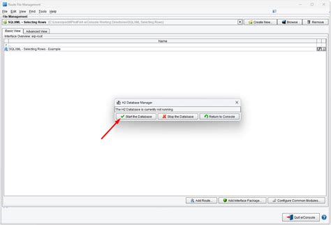 Using Sqlxml To Query And Update A Database Pilotfish Tutorial