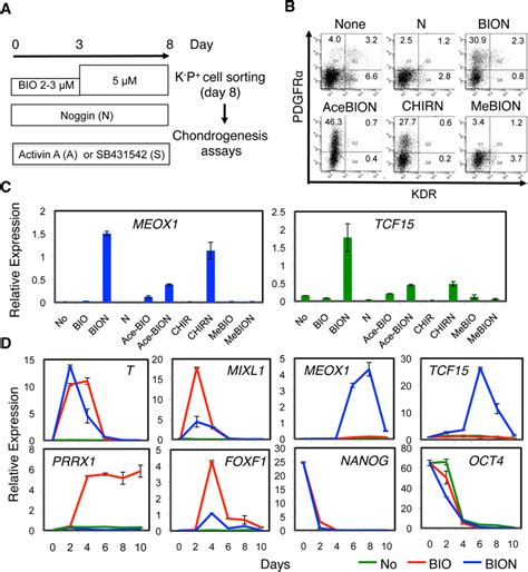 Directed Specification Of Paraxial Mesoderm In A Chemically Defined