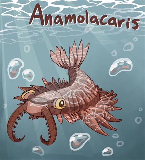 Anomalocaris By Caffinated Pinecone On Deviantart