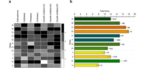 Summarized Results Of The In Vitro Screening Of Trichoderma Spp A The