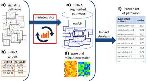 Workflow Of Pathway Analysis Using Augmented Pathways Download Scientific Diagram
