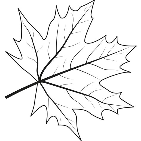 Free Maple Leaf Outline Printable Easy Download Printables For Everyone