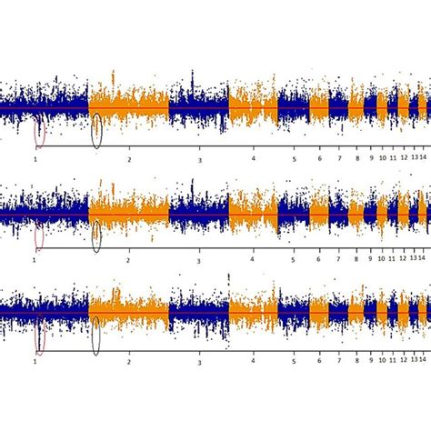 Manhattan Plot Showing Overall Direct And Indirect Snp Effects Using Download Scientific