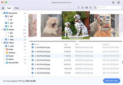 How To Recover Lost Data After Upgrading To Macos Sequoia
