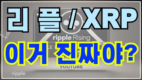 리플 Xrp 이거 진짜야 Xrp 리플 리플전망 리플분석 리플코인 리플차트 리플재판 코인추천 알트코인추천 Youtube