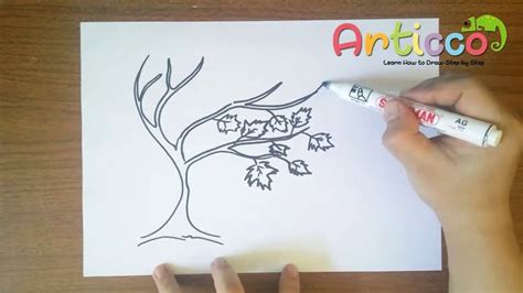 How To Draw A Fall Tree Step By Step