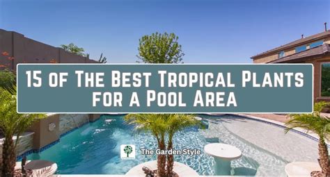 15 Of The Best Tropical Plants For A Pool Area The Garden Style