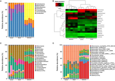 Berberine Regulated Alcohol‐induced Disordered Gut Microbiota A The Download Scientific
