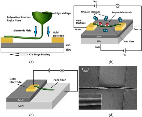 Field Effect Transistor Sensor At Justin Pope Blog
