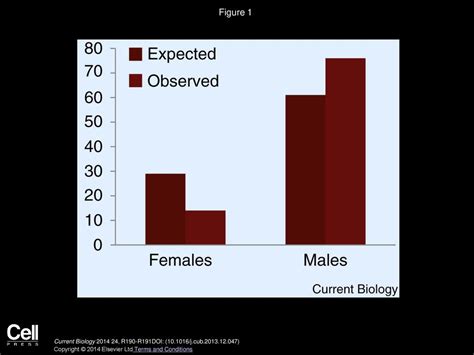 Rank Influences Human Sex Differences In Dyadic Cooperation Ppt Download