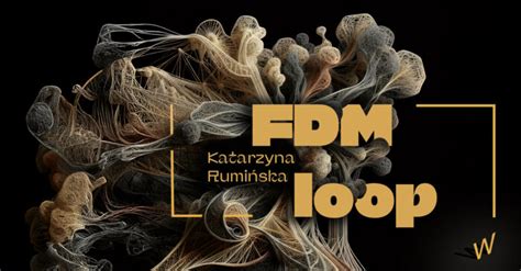 Katarzyna Rumińska Fdm Loop Otwarcie Wystawy Wydarzenie Toruń