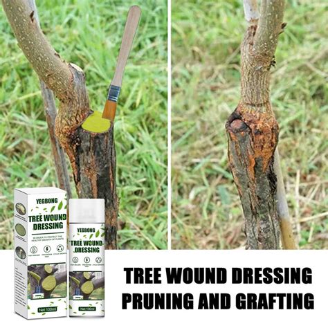 Ml Tree Wound Dressing Garden Bonsai Plant Healing Tree Wound Pruning Sealer Dressing For