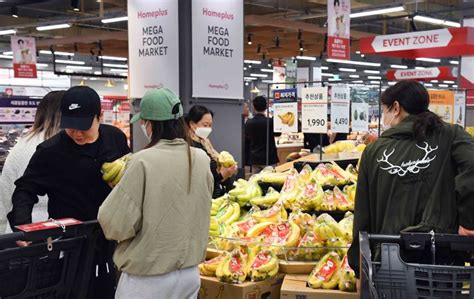 홈플러스 메가푸드마켓 금천점 리뉴얼 오픈 네이트 뉴스