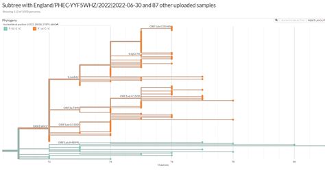 Potential Ba5ba2ba51 Recombinant 90 Sequences As Of 2022 08 29 Mainly Uk · Issue