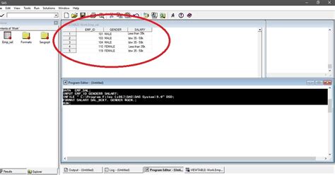 Statistical Analysis Different Techniques Formats Informats In SAS
