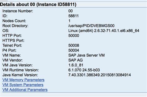 solved sap pi 7 4 mapping runtime on central adapter engi sap