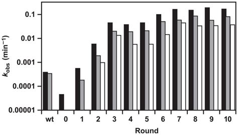 Highly Efficient Self Replicating Rna Enzymes Pmc
